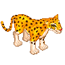 Golden Leopard